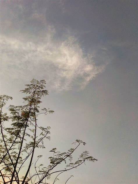 Md Rajibul Islam On Linkedin 📸own Capture