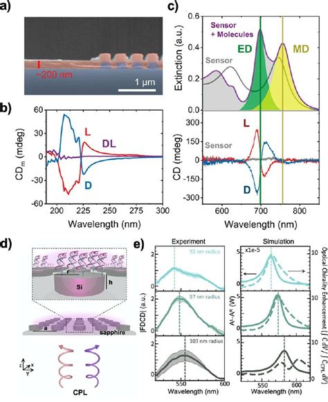 A Scanning Electron Micrograph Of A Si Nanodisk Array Coated With A Download Scientific