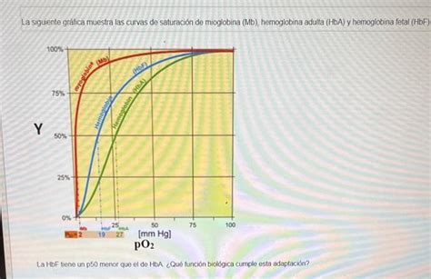 [solved] The Following Graph Shows The Saturation Curves Of Myoglobin Mb Adult Solutioninn