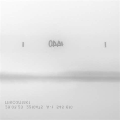 002seam Instance Segmentation Dataset By Innopolis University