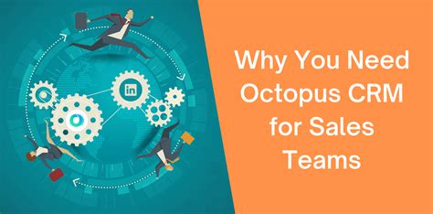 Why Sales Teams Need Octopus Crm Octopus Crm