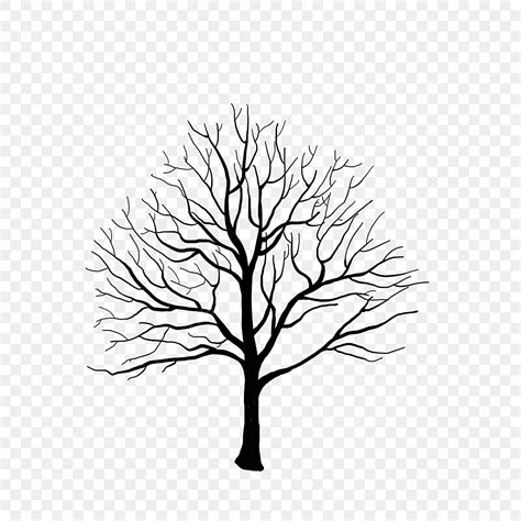 Branches Forked Bare Tree Clip Art Lip Drawing Bare Tree Clipart No Leaves PNG Transparent