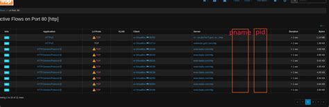 Display Process Idnamecommandline In Flows Table Display Ip Location
