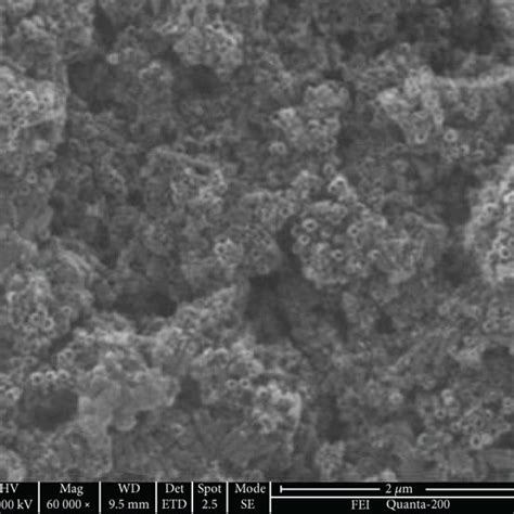 Sem Topographies Of The Tio2 Nanotube Obtained By Different Applied