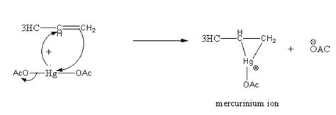 Oxymercuration Demercuration Reaction [{ Text{hg Oac}}{{ Text{ }} { Text{2}}}{ Text{ Thf