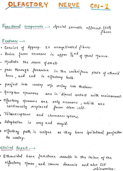 SOLUTION Cranial Nerves Anatomy Studypool SOLUTION Cranial Nerves Anatomy Studypool