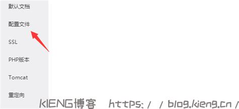 Nginx设置禁止IP通过 和 端口访问 只允许域名访问 KIENG博客