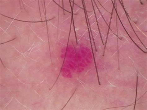 Classification Project Classification Dataset By Fyp