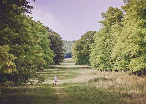 Chiltern Biz Collective Independent Business Community