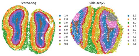 1 Spatial Feature Integration Of Mouse Olfactory Bulb Datasets — Stair Tutorial 1 0 Documentation