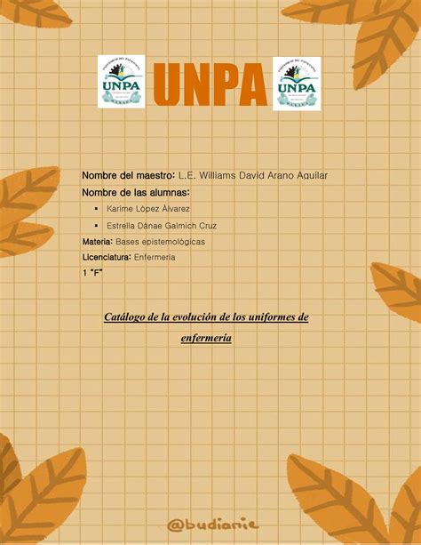 Uniforme De Enfermeria UNPA 1