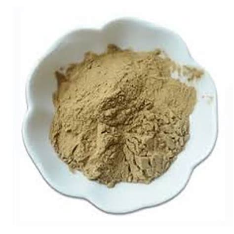 Brown Bacterial Xylanase At Best Price In Indore Madhya Pradesh