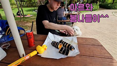 따스한 봄날 아르와의 공원 산책 Vlog Youtube