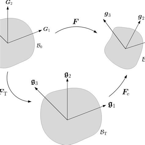 Multiplicative Deformation Decomposition Of 3d Volumetric Continua