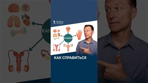 Кандидозный дерматит — причины и лечение