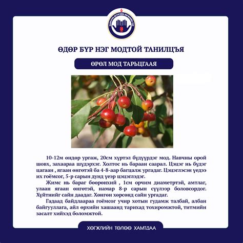 БАЯНЗҮРХ ДҮҮРГИЙН ХӨГЖЛИЙН ТӨВ Home Facebook