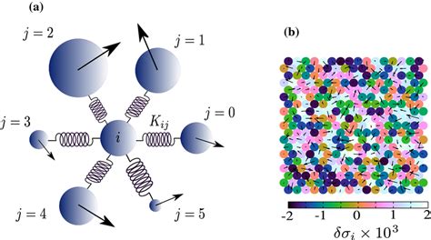 A Schematic Representation Of The Network Model A Triangular Download Scientific Diagram