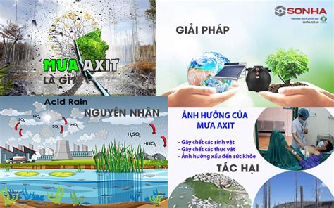 Mưa axit là gì Nguyên nhân tác hại lợi ích giải pháp