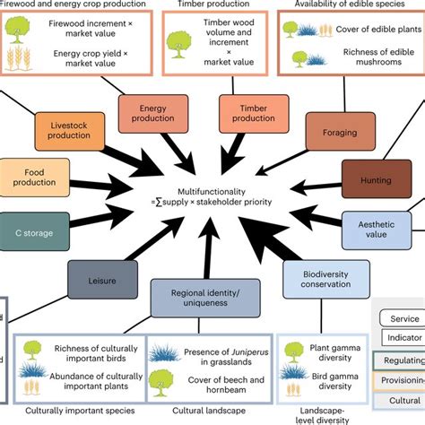 Eleven Ecosystem Services Included In The Multifunctionality Metric And Download Scientific