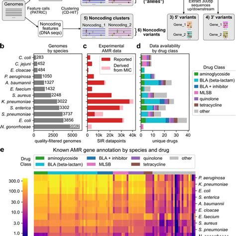 Genomic And Antimicrobial Resistance Datasets Assembled From The Patric Download Scientific
