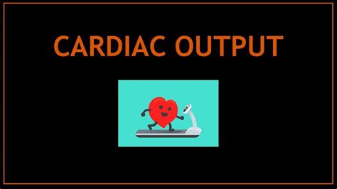 Cardiac Ultrasound Echocardiography Made Easy
