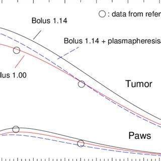 EPR Effect Model The Picture Shows The Simulated Time Course Of Download Scientific Diagram