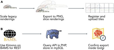 Data Extraction Pipelines Two Bespoke Data Extraction Pipelines Helped Download Scientific
