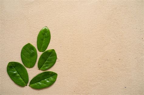 Premium Photo A Green Leaf On A Brown Background With The Word Tree On It