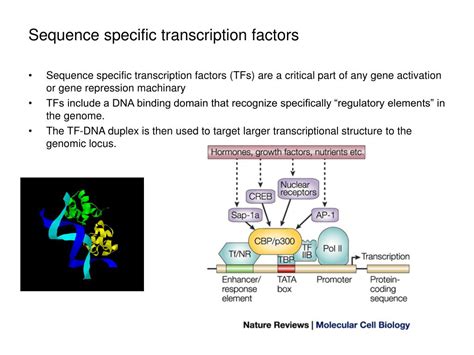 Ppt Genome Evolution A Sequence Centric Approach Powerpoint Presentation Id 4176242