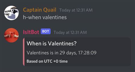 Create A Discord Bot With Python By Quail Studio Fiverr