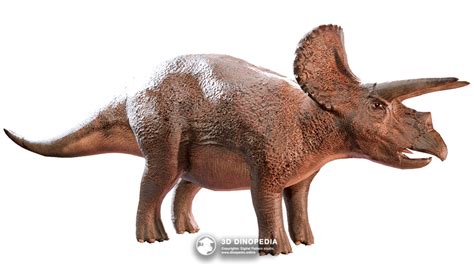 Triceratops 3d Dinopedia