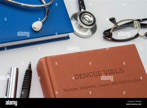 Dengue Treatment Symptoms Causes And Information Written In A