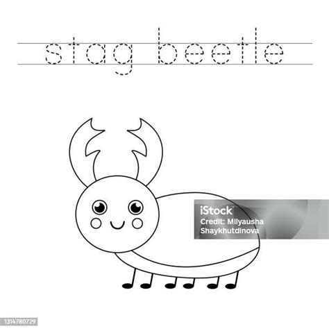 귀여운 딱정벌레로 문자를 추적합니다 아이들을위한 쓰기 연습 곤충에 대한 스톡 벡터 아트 및 기타 이미지 곤충 교육 귀여운