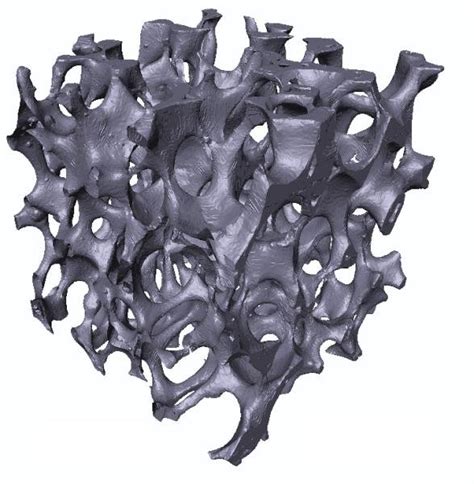 A 3d Reconstruction Of A Xct Scan On A Si Sic Foam Download