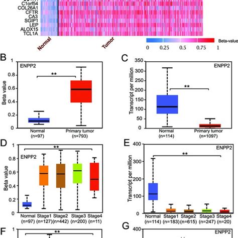 Promoter Methylation Of Dna Information From Tcga Illumina Bead Chip Download Scientific