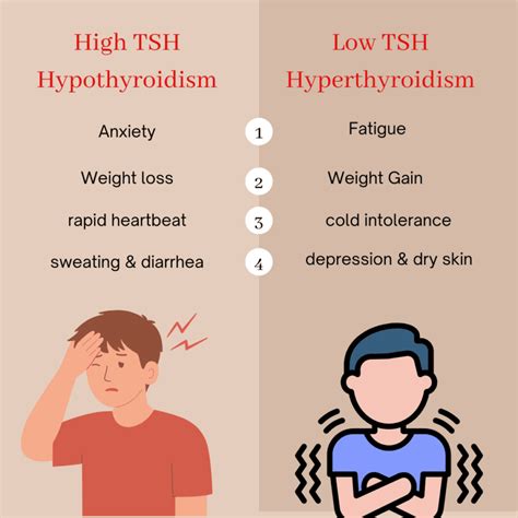 TSH 3rd Generation Test Thyroid Health And Hypothyroidism Diagnosis 2025