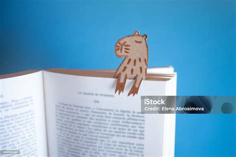 종이 카피바라 책갈피 소프트 포커스 하기 쉬운 활동 어린이와 유치원을 위한 공예품 Diy 재활용 재료로 만든 장난감으로 책 0명에 대한 스톡 사진 및 기타 이미지 Istock
