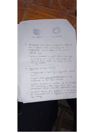 Plasma Membrane Its Composition Detailed Notes For B Sc M Sc Students PDF
