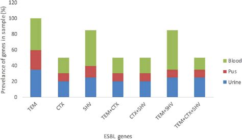 Prevalence Of Esbl Producing Gene Types Among Different Samples Download Scientific Diagram