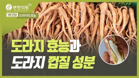 1분건강 편도염과 가래 기침에 좋은 도라지의 효능과 부작용 Youtube