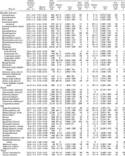 Citrate Synthase Activity And Fiber Type Composition Of Major Muscles Download Table