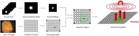 A Schematic Plot Of The Attraction Propagation Ap Download Scientific Diagram