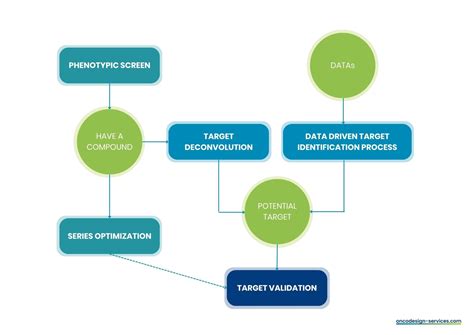 Target Identification Target Validation Cro Services