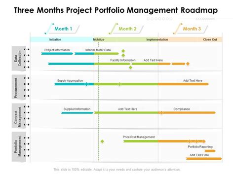 Three Months Project Portfolio Management Roadmap Presentation Graphics Presentation