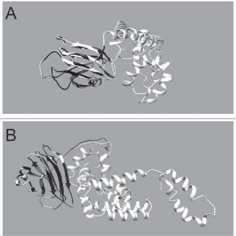 Protein 3d Structure Alignments Generated By The Ucsf Chimera Package Download Scientific