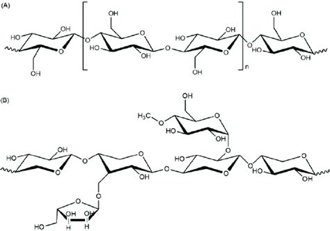 Hemicellulose Structure