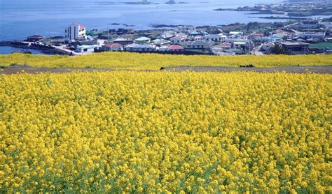 제주 여행 용연 계곡 볼거리 많은 곳