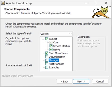 Installing Tomcat 10