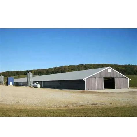 China Automatic Prefab Steel Structure Chicken Poultry House Steel Building And Prefabricated