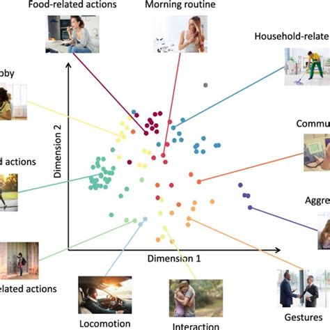 Action Categories Revealed By The Multi Arrangement Experiment And Download Scientific Diagram